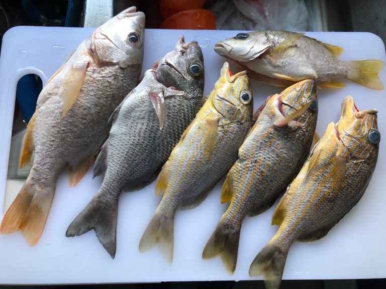 Jamaican Brown Stew Fish - TheShyFoodBlogger