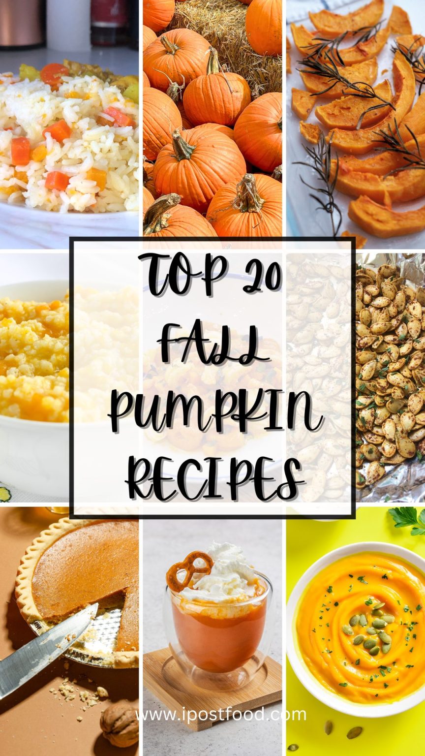 Top 20 Pumpkin Recipes - TheShyFoodBlogger